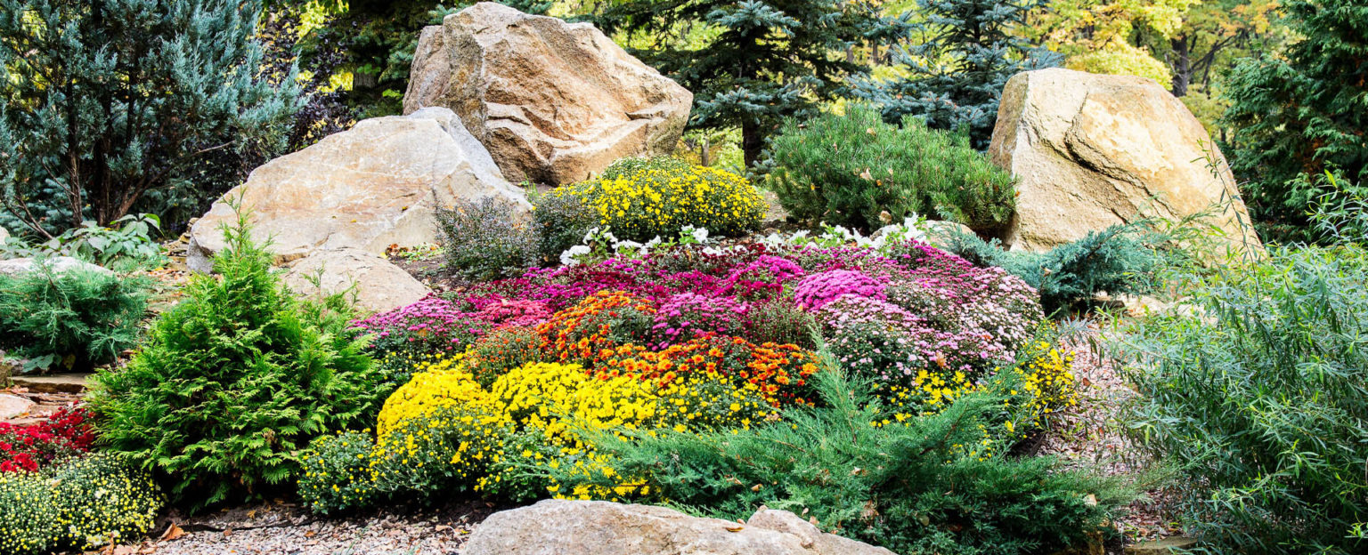 Choosing the Right Softscaping Elements for Your Garden - Well Rooted ...