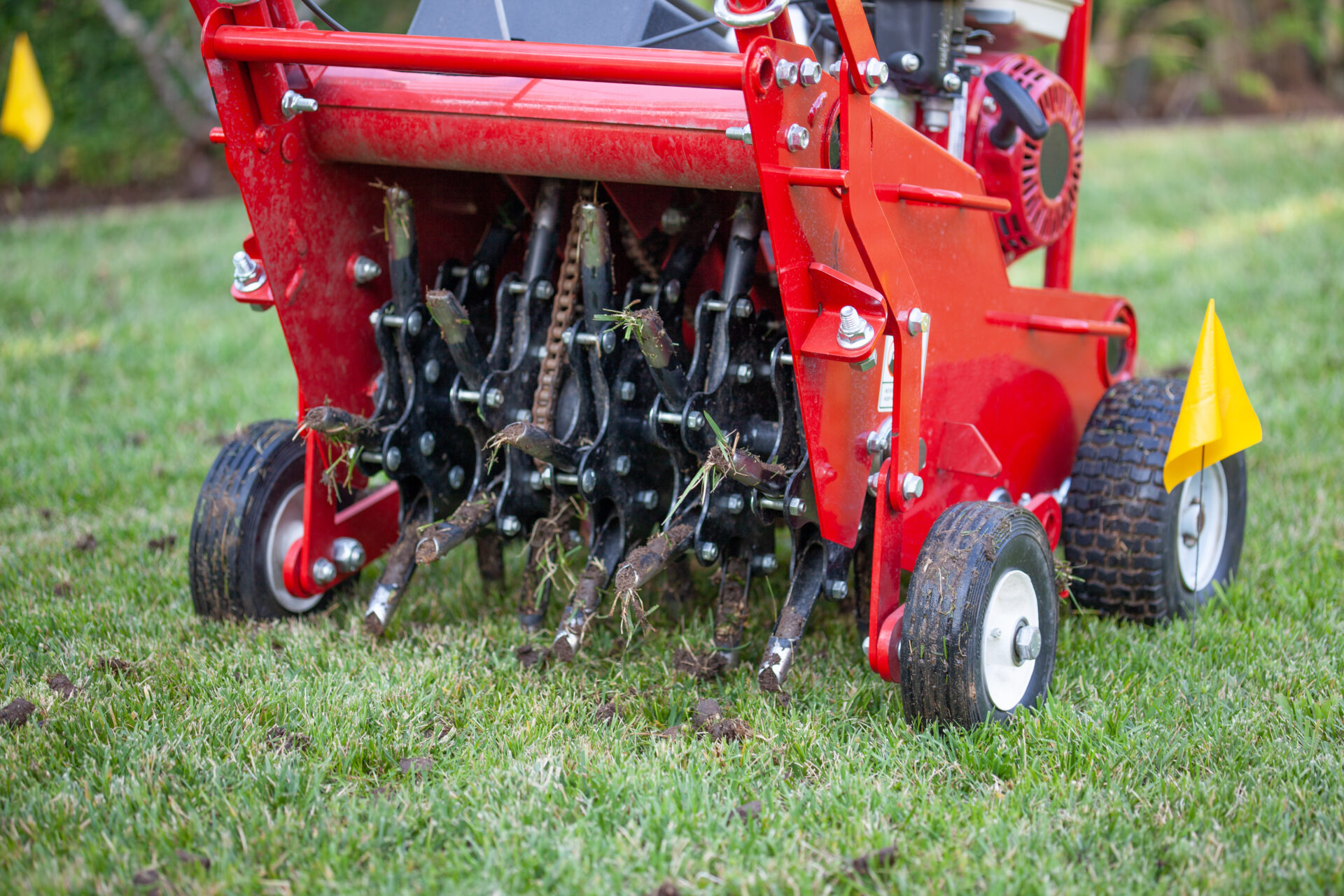 The Green Revolution: Key Benefits of Lawn Aeration and Seeding - Well ...