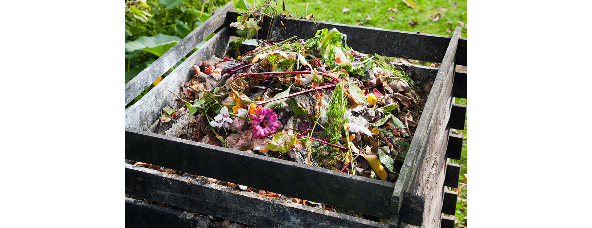 Beginner Composting Tips for Effective Sustainable Gardening - Well ...
